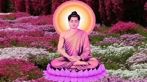 តើ ពាក្យ ថា ទេព កោសល្យ មាន ន័យ ដូច ម្តេច Tnaot