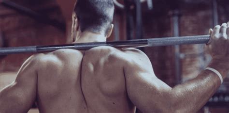 Can Sex Impact Your Lifting Sports Performance And Gains BarBend