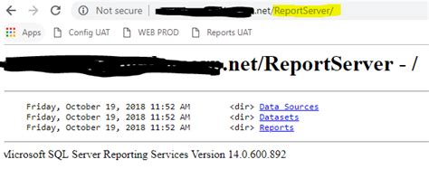 Cannot Access Web Portal · Issue 117 · Microsoft Reporting Services · Github