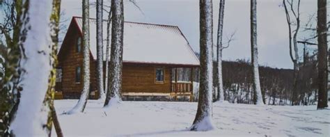 How To Build A Log Cabin From Scratch And By Hand Visiting Australia