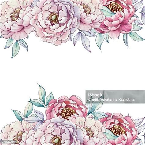 무성한 녹색 잎과 부드러운 분홍색과 흰색 모란의 섬세한 배열은 수채화 템플릿 배경에서 예술성과 자연의 아름다움을 보여줍니다 0명에 대한 스톡 벡터 아트 및 기타 이미지
