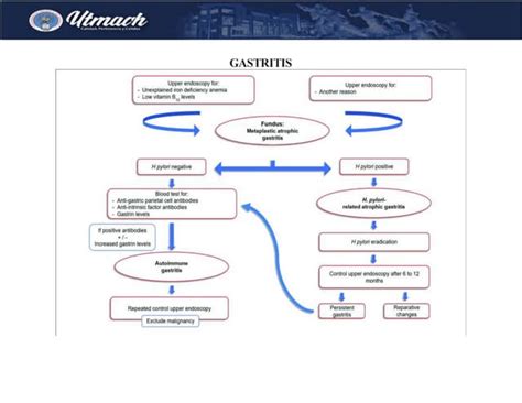 Gastritis Algorithm Docx