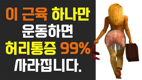 허리통증 99 없애주는 대둔근 강화운동허리가 건강해지는 엉덩이 운동40대 이후 무조건 키워야하는 대둔근 근력운동 Youtube