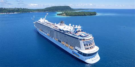 Feline Rescue Stowaway Cat Onboard Royal Caribbean Ship Adopted By Crew