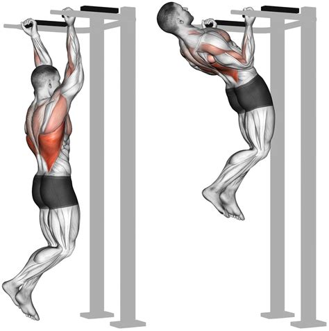 Master The Reverse Grip Pull Up Build Back And Arm Strength Fitness Volt