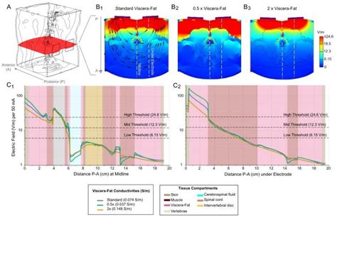 New Paper Computational Modeling Of Neuromuscular Activation By Transcutaneous Electrical Nerve