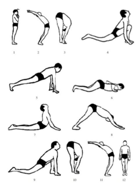 සූර්ය නමස්කාරය අපේ යහපැවැත්ම පරිසරය 04 ශ්‍රේණිය Youtube