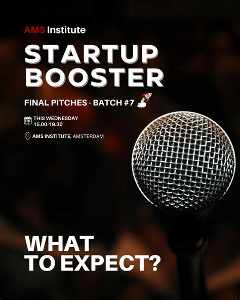 Demoday Startups Innovation Entrepreneurship Pitching Networking Florina Daniela Ungureanu