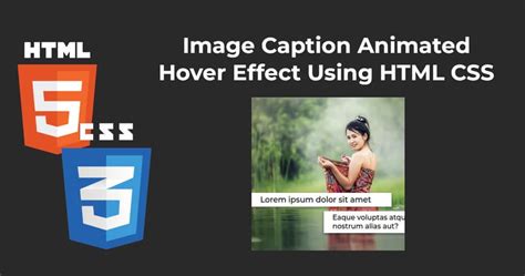 Image Caption Hover Animation Css Geekboots