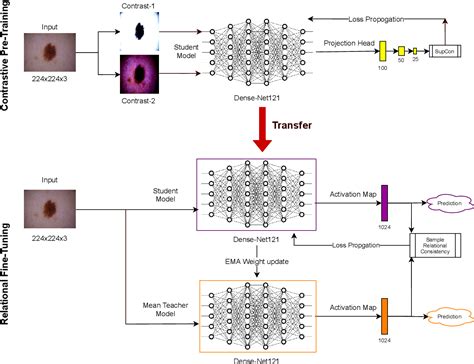 Table 1 From Semi Supervised Relational Contrastive Learning Semantic Scholar