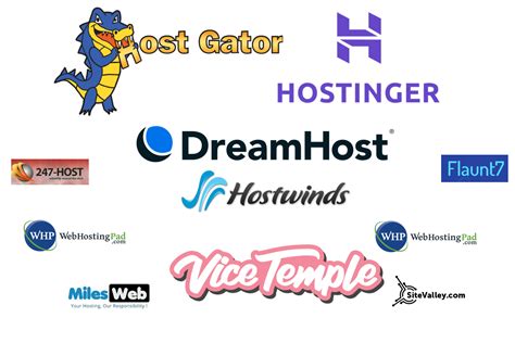 Adult Hosting Best And Cheap Adult Web Hosting Providers In