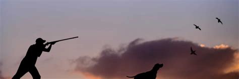 Types Of Hunting Traps Where When Why And How