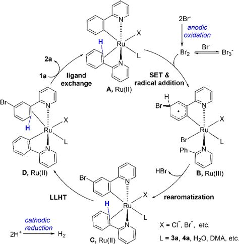 Proposed Catalytic Cycle Download Scientific Diagram