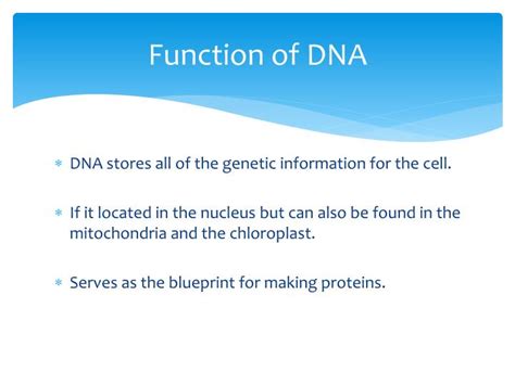 PPT Structure And Function Of DNA PowerPoint Presentation ID