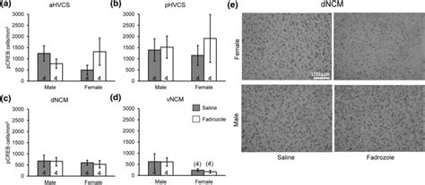 Fadrozole Has No Effect On Pcreb Expression In Secondary Auditory Download Scientific Diagram