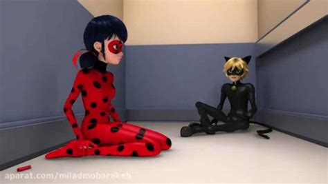 لو رفتن هویت مرینت و آدرین