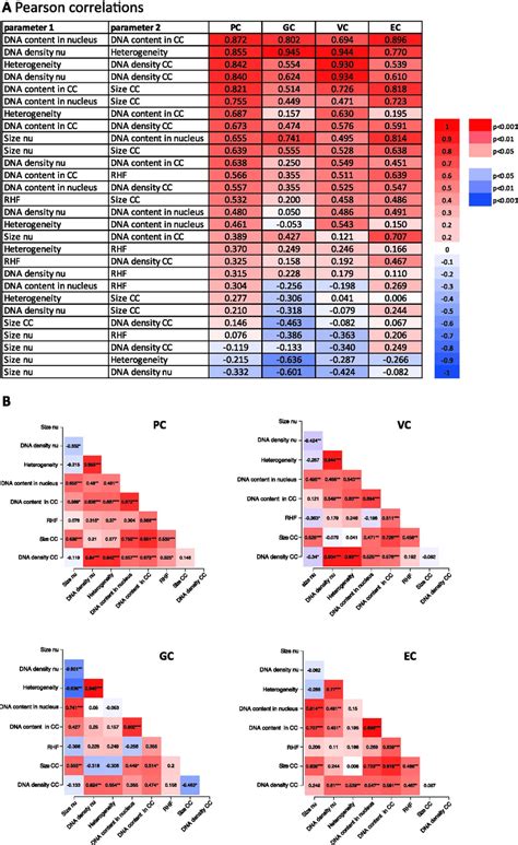 Pearson Correlation Between Parameters In Different Cell Types Download Scientific Diagram