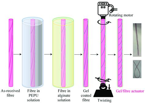 Schematic Illustration Of Fabricating Twisted Gelfibre Torsional Actuator Download