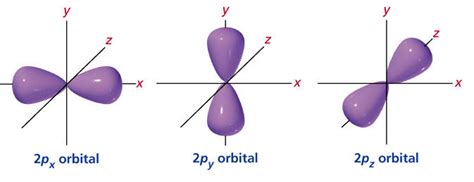 Shapes Of Orbitals And Sublevels
