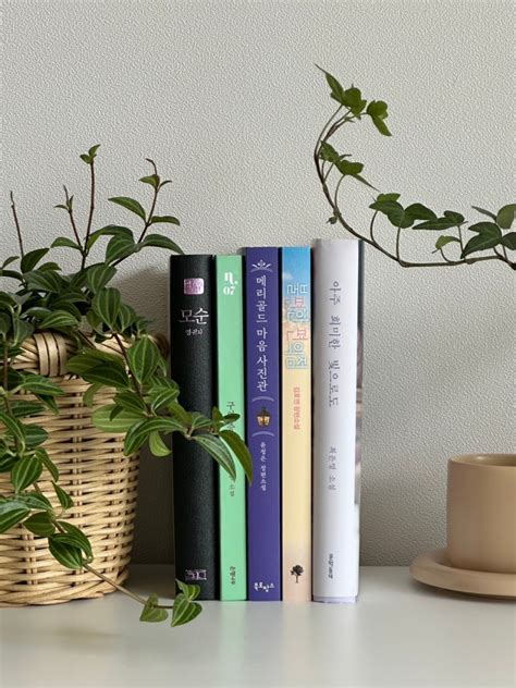소설 베스트셀러 순위 교보문고 한국 소설책 추천 네이버 블로그