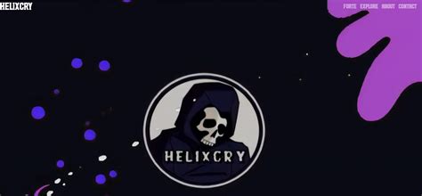 GitHub Nischal Newar Helixcry Portfolio
