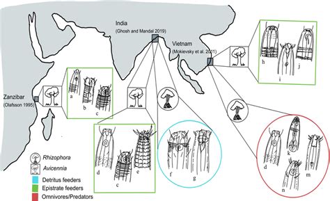 Map Summarizing The Distribution Of Nematode Taxonomic And Functional