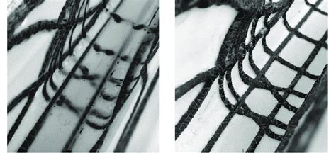 Resulting Structure When Wet Compression Moulding With High Left And Download Scientific