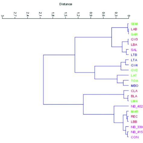 Cluster Analysis Aggregative Method Wards Algorithm Not Constrained Download Scientific