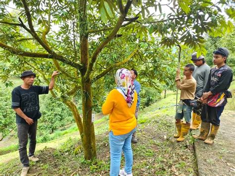 Technology Driven Sustainability Consulting Cultivate Agri