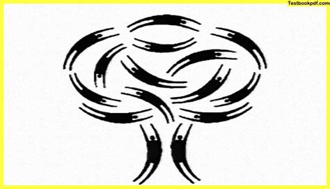 Human Tree Approaches To Visual Perception