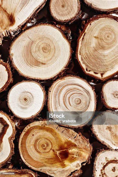 주니퍼 나무 반지와 목재의 둥근 조각 자연 기하학적 패턴 추상적 인 자연 배경 자연스러운 나무의 유기적 질감과 모양 흑백 브라운 그라데이션 색상 흙색 갈색에 대한 스톡 사진