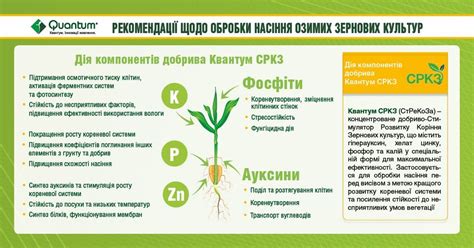 Обробка насіння озимих зернових культур Агровіо Україна