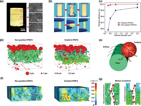 Gradient Cellular Structured Ipnfas With Cascade Filtration Capability Download Scientific