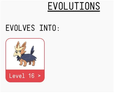 Lillipup Evolution Level