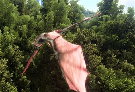Ark Survival Evolved How To Tame Dinosaurs Nitrado