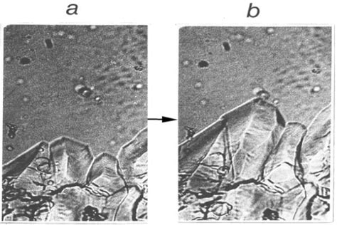 Order Disorder Phase Transition In Cbr 4 Ab Conglomeration Of