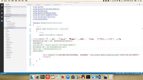 C How To Use In Net Core At Mac Stack Overflow