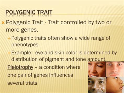 PPT Genetics Understanding Inheritance And Traits PowerPoint Presentation ID 3148793