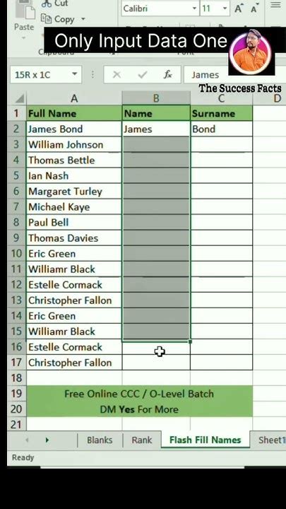 how to use flash fill in excel exceltech exceltutorial exceltips