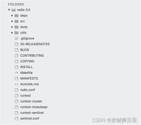 Redis 源代码的整体架构，想要彻底掌握 Redis 就从源码入手用redis而不看redis源码会导致 Csdn博客