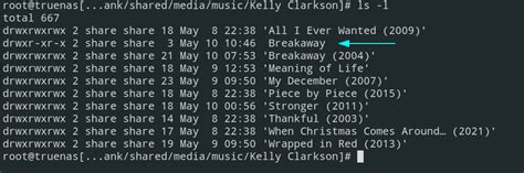 Deployment Loop And Workaround · Issue 11 · Dmzoneilllidarr Youtube Downloader · Github