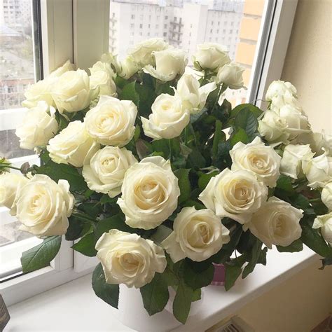 Пин от пользователя Натуська на доске Цветочные композиции Цветочные композиции Розы Цветы