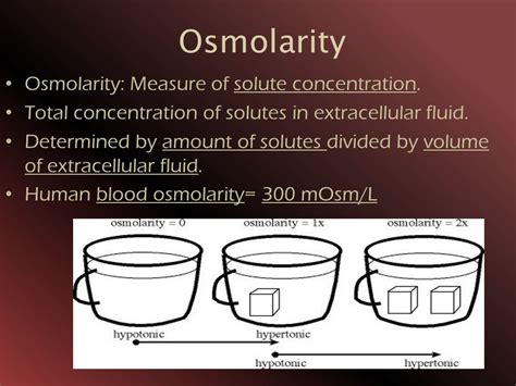 Urine Formation Variation Dr Wasif Haq Osmolarity Osmolarity Measure