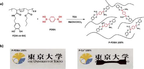 A Synthesis Of A Catechol Containing Polymer Crosslinked With Pdba