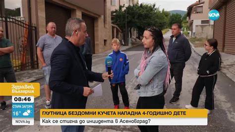 Глутница бездомни кучета нападна 4 годишно дете в Асеновград Здравей България 30 06 2023