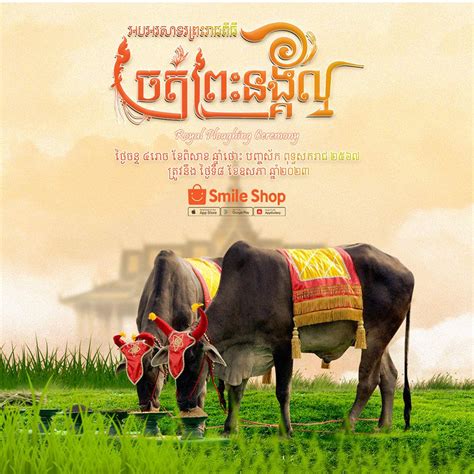 Smile Shop The Leading E Commerce Platform In Cambodia On Linkedin អបអរសាទរ