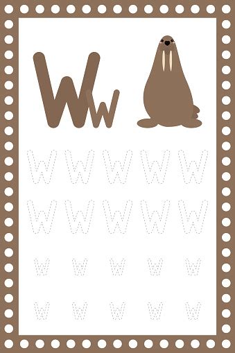 문자 W 소문자입니다 워크시트 어린이 교육 월러스 일러스트레이션 벡터 조판 알파벳순 글꼴 유치원 훈련 0명에 대한 스톡 벡터 아트 및 기타 이미지 Istock
