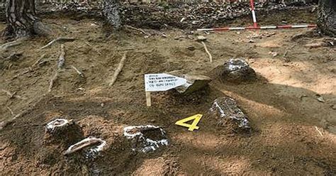 열여덟에 전사한 6·25 참전 김수덕 일병 73년만에 집으로