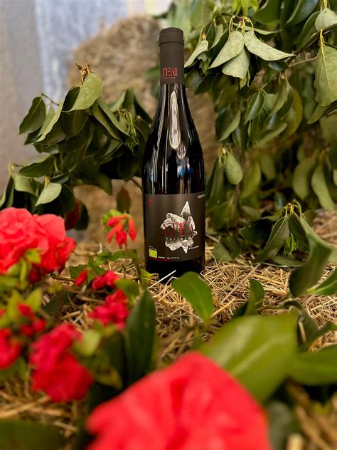 Ateni Terraces • ატენის ტერასები Gori