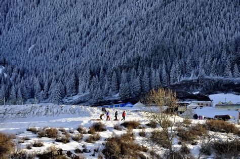 【南山赏雪摄影图片】乌鲁木齐郊区生态摄影 西北茂 太平洋电脑网摄影部落
